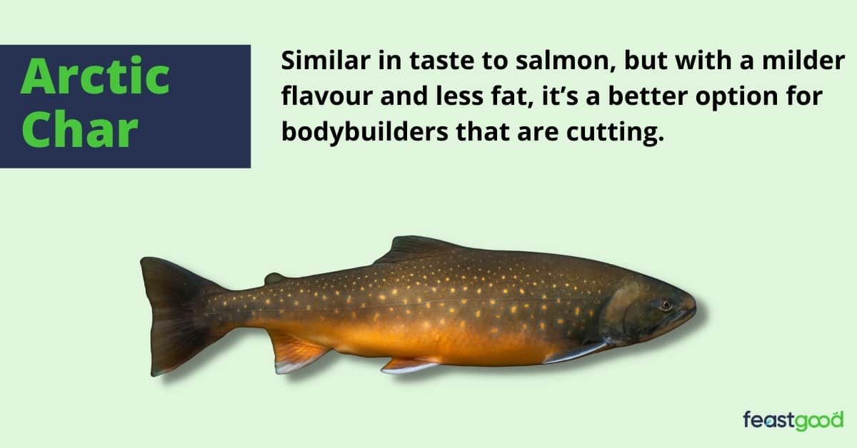 29 Best Fish For Bodybuilding (Ranked By Cheapest Option) - FeastGood.com