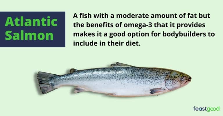 29 Best Fish For Bodybuilding (Ranked By Cheapest Option) - FeastGood.com