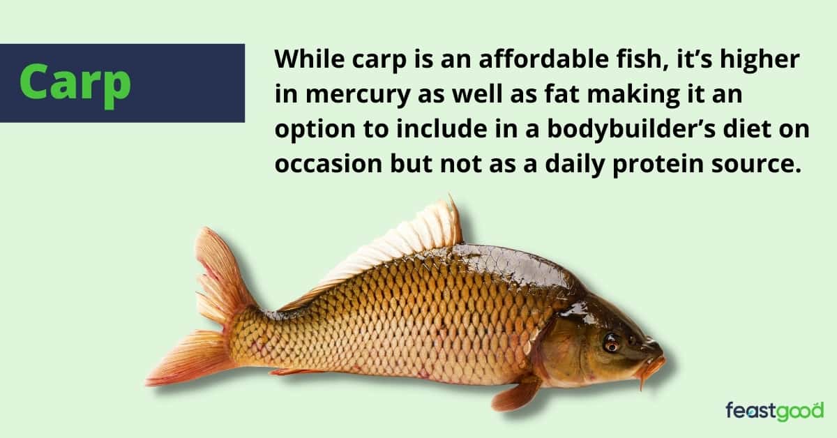 29 Best Fish For Bodybuilding (Ranked By Cheapest Option) - FeastGood.com