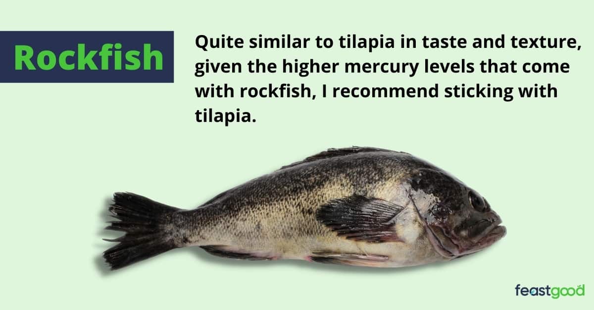 29 Best Fish For Bodybuilding (Ranked By Cheapest Option) - FeastGood.com