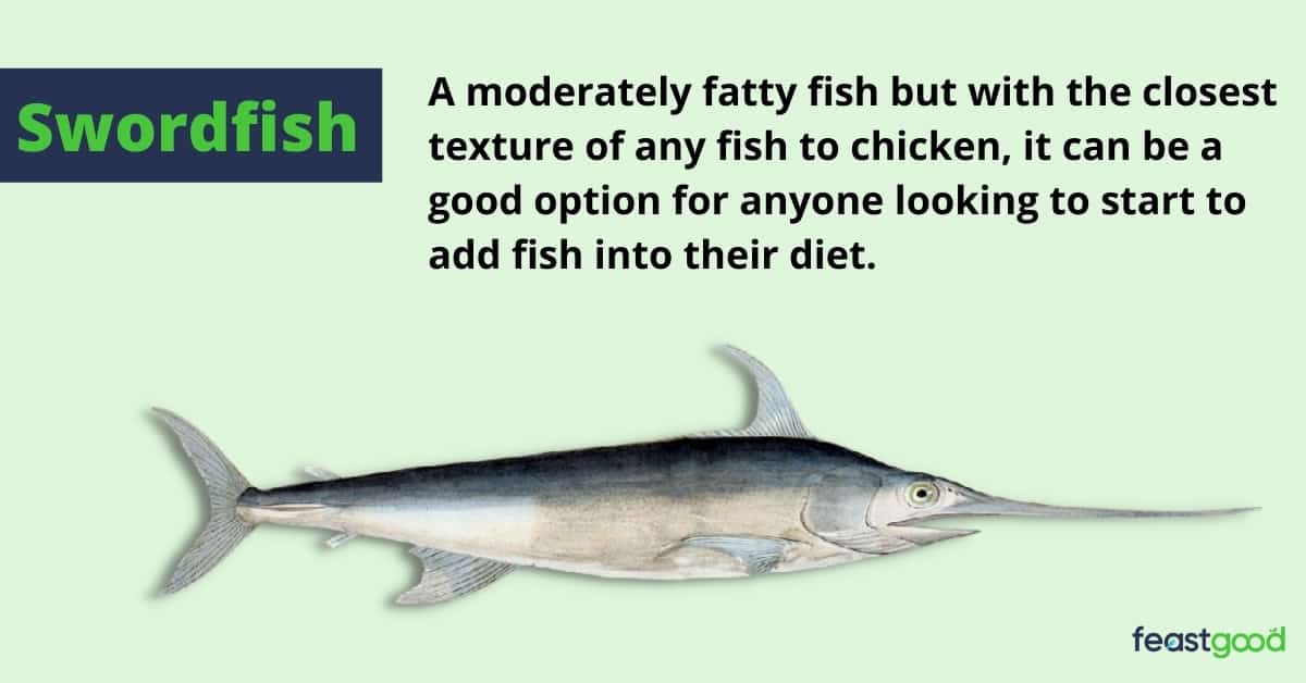 29 Best Fish For Bodybuilding (Ranked By Cheapest Option) - FeastGood.com