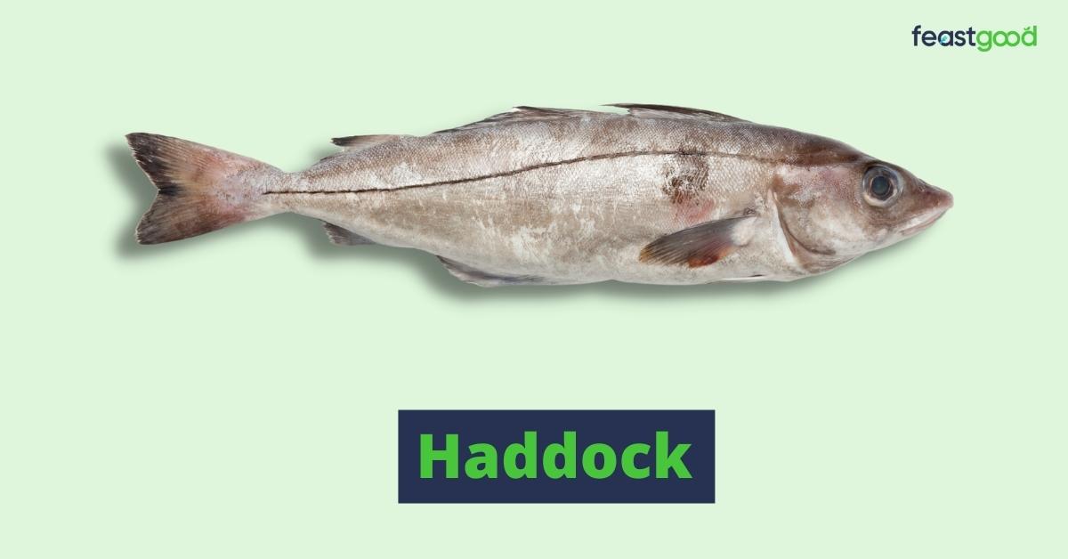 19 Best Fish To Eat After A Workout (Plus 10 To Avoid) - FeastGood.com