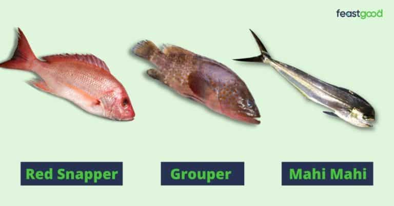 19 Best Fish To Eat After A Workout (Plus 10 To Avoid) - FeastGood.com