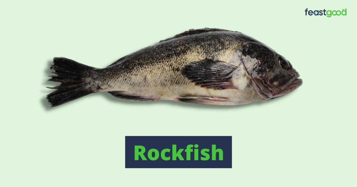 19 Best Fish To Eat After A Workout (Plus 10 To Avoid) - FeastGood.com