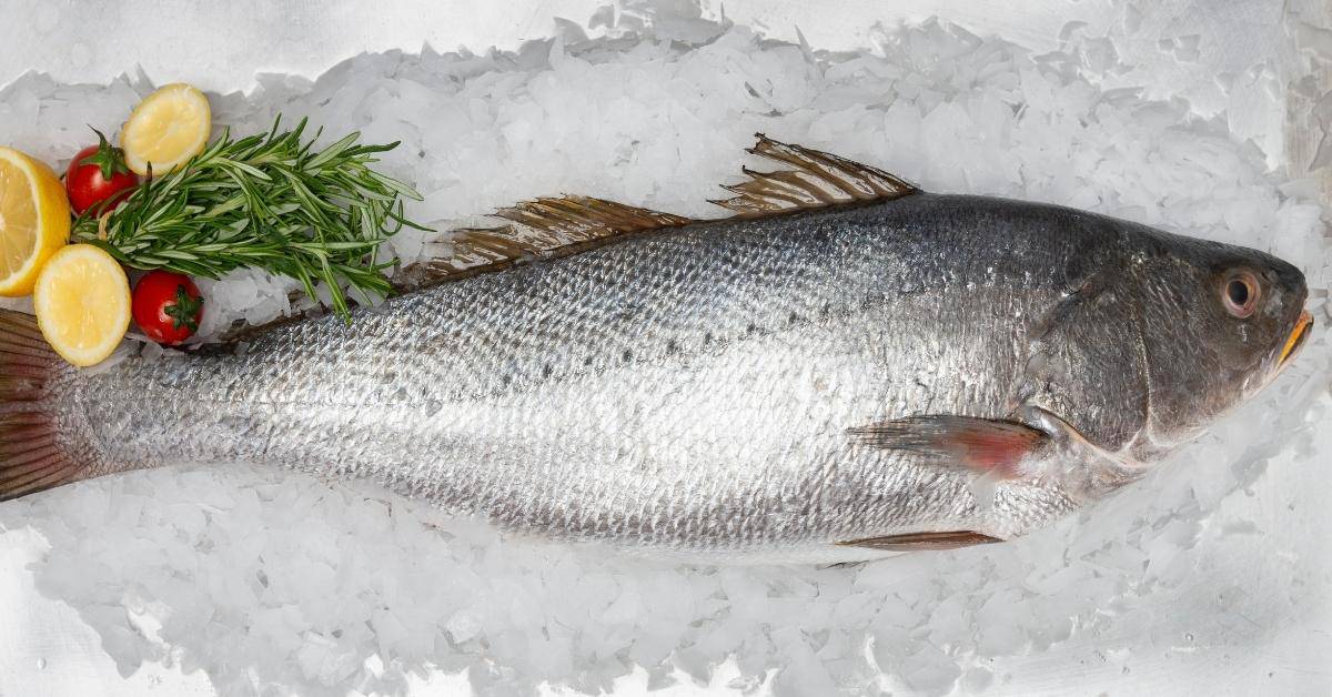 27 Fish With The Most Protein (Complete List) - FeastGood.com