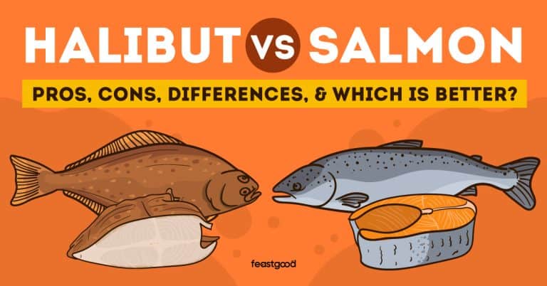 Halibut vs. Salmon: Pros, Cons, Differences, & Which Is Better ...
