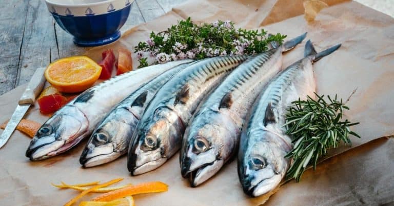 27 Fish With The Most Protein (Complete List) - FeastGood.com