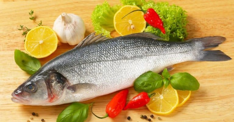 27 Fish With The Most Protein (Complete List) - FeastGood.com