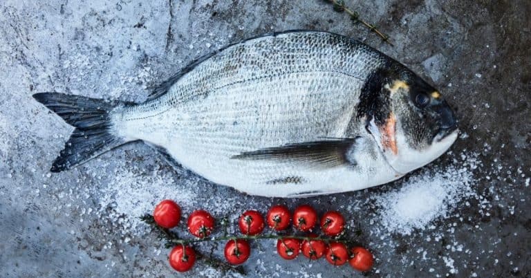 27 Fish With The Most Protein (Complete List) - FeastGood.com