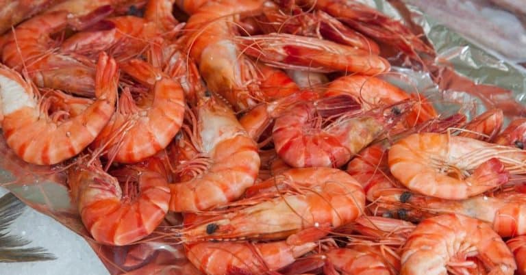 27 Fish With The Most Protein (Complete List) - FeastGood.com