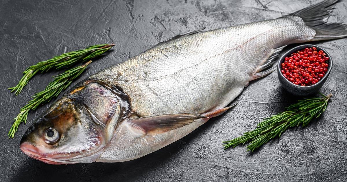 27 Fish With The Most Protein (Complete List) - FeastGood.com