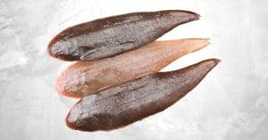 27 Fish With The Most Protein (Complete List) - FeastGood.com