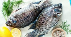 12 Lowest Calorie Fish (Under 100 Calories) - FeastGood.com
