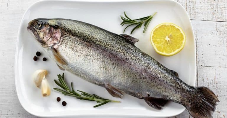 27 Fish With The Most Protein (Complete List) - FeastGood.com