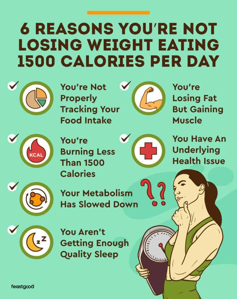 Eating 1500 Calories A Day And Not Losing Weight Why FeastGood Eating 1500 Calories A Day And Not Losing Weight Why FeastGood