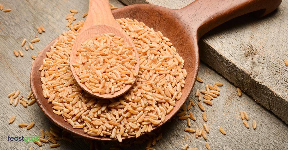 14 Grains With The Most Protein (Complete List) - FeastGood.com
