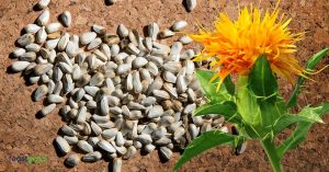 7 Seeds With The Most Protein (Plus, 5 High Protein Nuts) - FeastGood.com