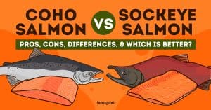 Coho vs Sockeye Salmon: What Are The Differences? - FeastGood.com