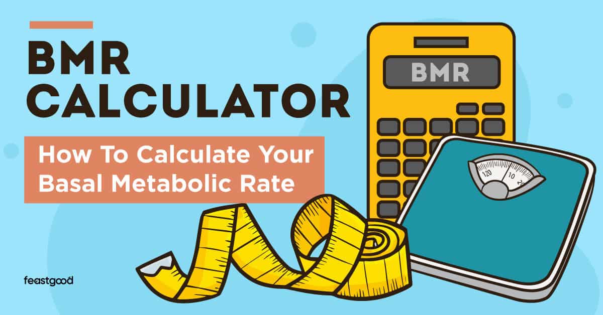 BMR Calculator How To Calculate Your Basal Metabolic Rate FeastGood