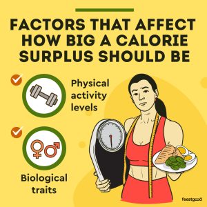 How Big Should My Calorie Surplus Be? And, What Is Too Much ...