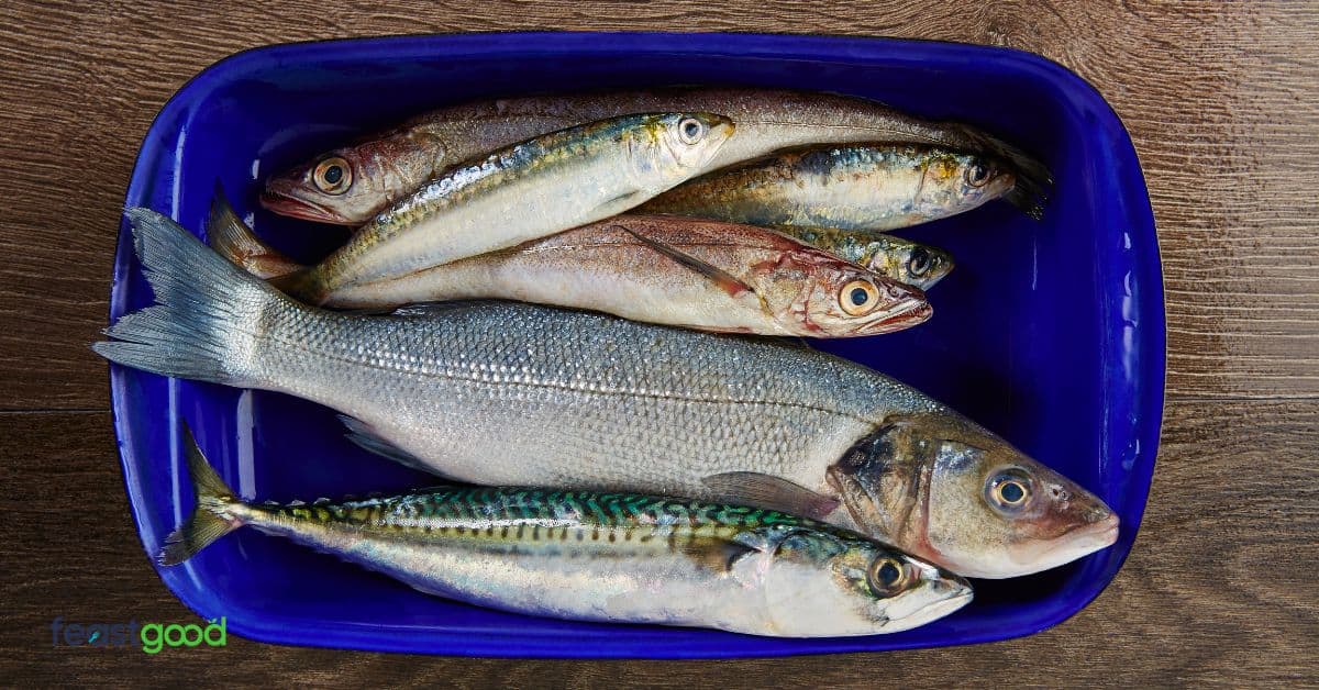 16 Foods That Will Help You Build Lean Muscle And Burn Fat - FeastGood.com
