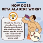 What Does Beta Alanine Do In Pre Workout? (Science-Backed) - FeastGood.com