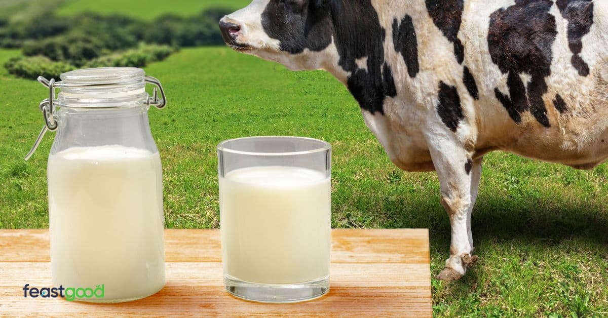10 Lowest Calorie Milk Options (Complete List) - FeastGood.com