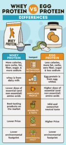 Whey vs Egg Protein: Differences, Pros, Cons - FeastGood.com