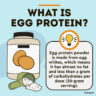 Whey vs Egg Protein: Differences, Pros, Cons - FeastGood.com