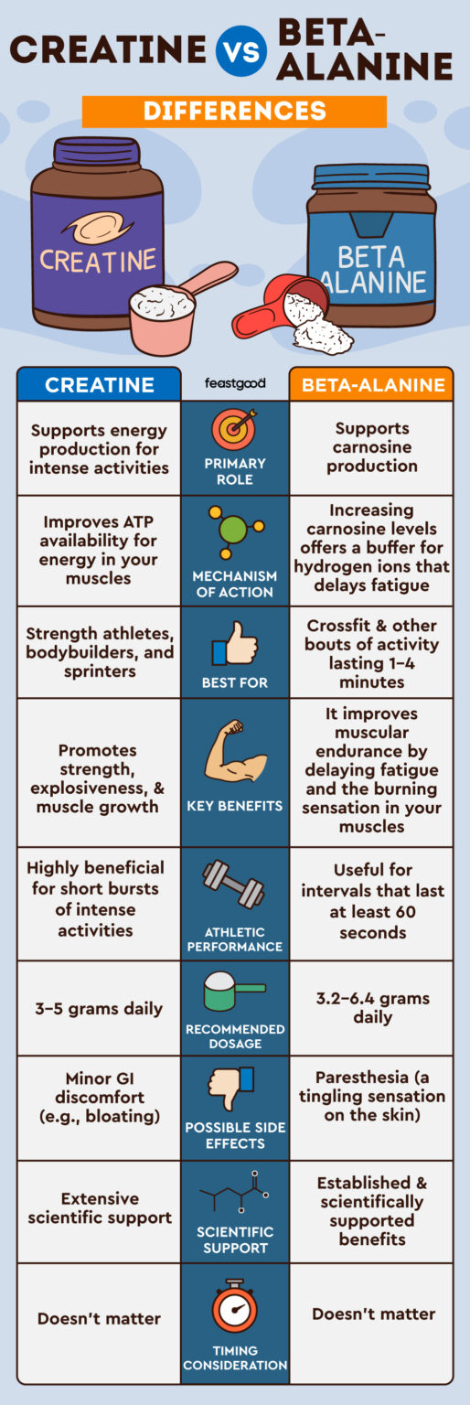 Creatine vs Beta Alanine: Do You Need Both? 4 Differences - FeastGood.com