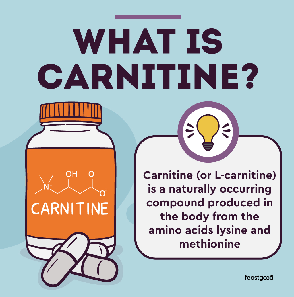 Creatine vs Carnitine: Do You Need Both? Differences Explained ...