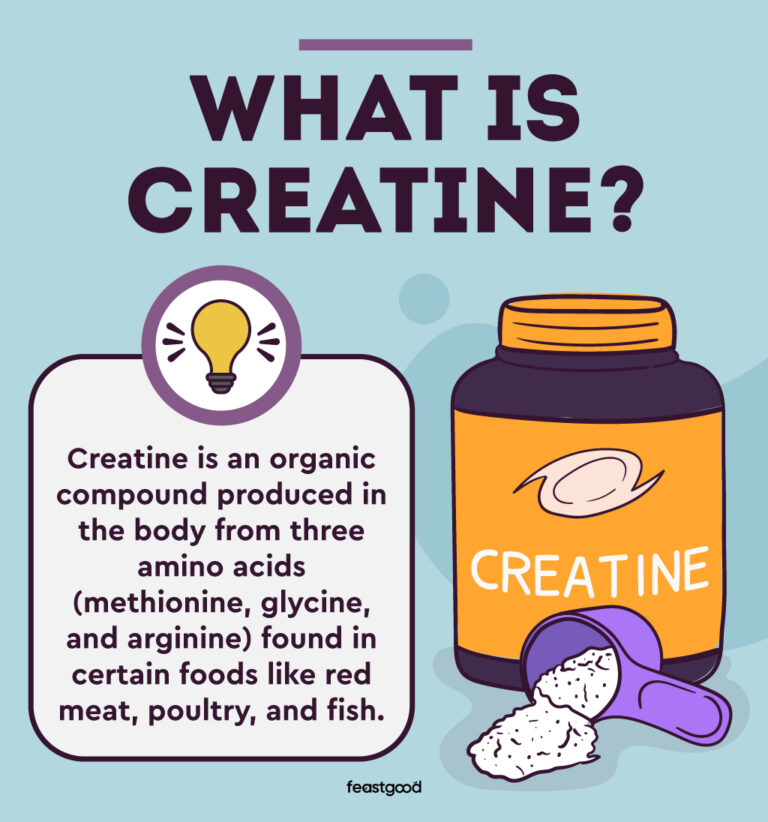 Creatine vs Carnitine: Do You Need Both? Differences Explained ...