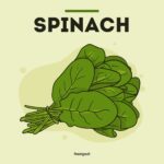 15 Best Vegetables For Muscle Growth, According To Dietitian ...