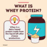 Collagen Protein vs Whey Protein: Differences, Pros, Cons - FeastGood.com