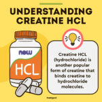 Creatine Monohydrate vs HCL: Which Is Better? Pros & Cons - FeastGood.com